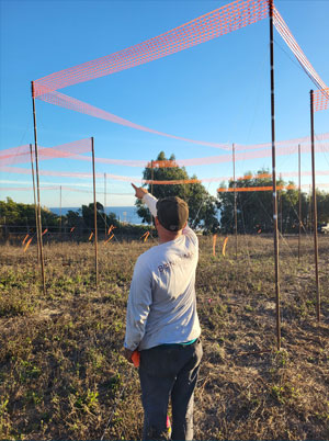 What is a Story Pole? | Story Pole Installation in California